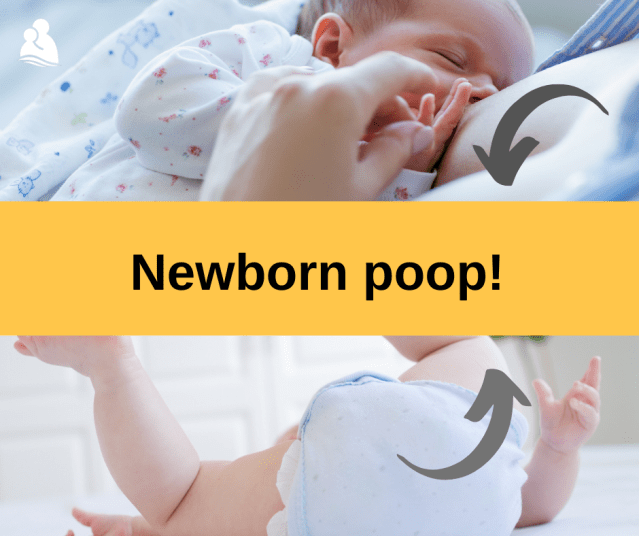 Getting to the bottom of newborn stool | HaltonParents